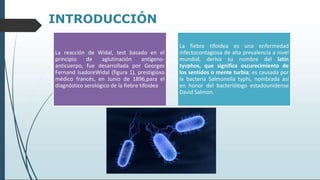 REACION DE WIDAL.pptx