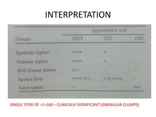 WIDAL AND WEIL FELIX TEST MBBS.pptx