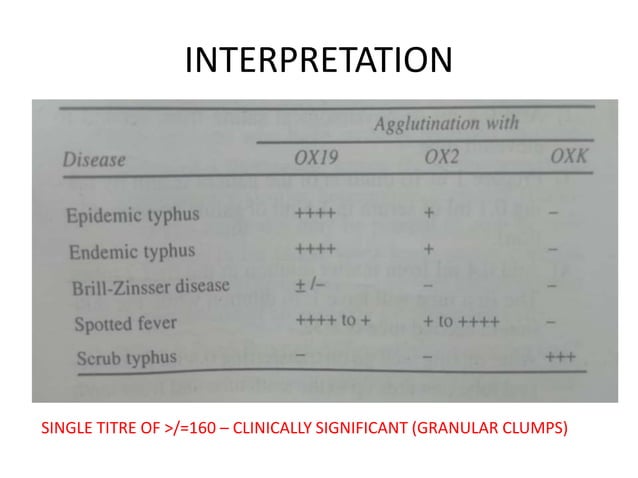 WIDAL AND WEIL FELIX TEST MBBS.pptx