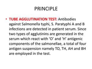 WIDAL AND WEIL FELIX TEST MBBS.pptx