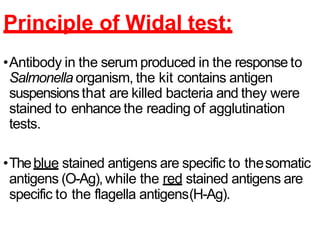 Widal test | PPTX