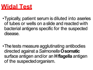 Widal test | PPTX