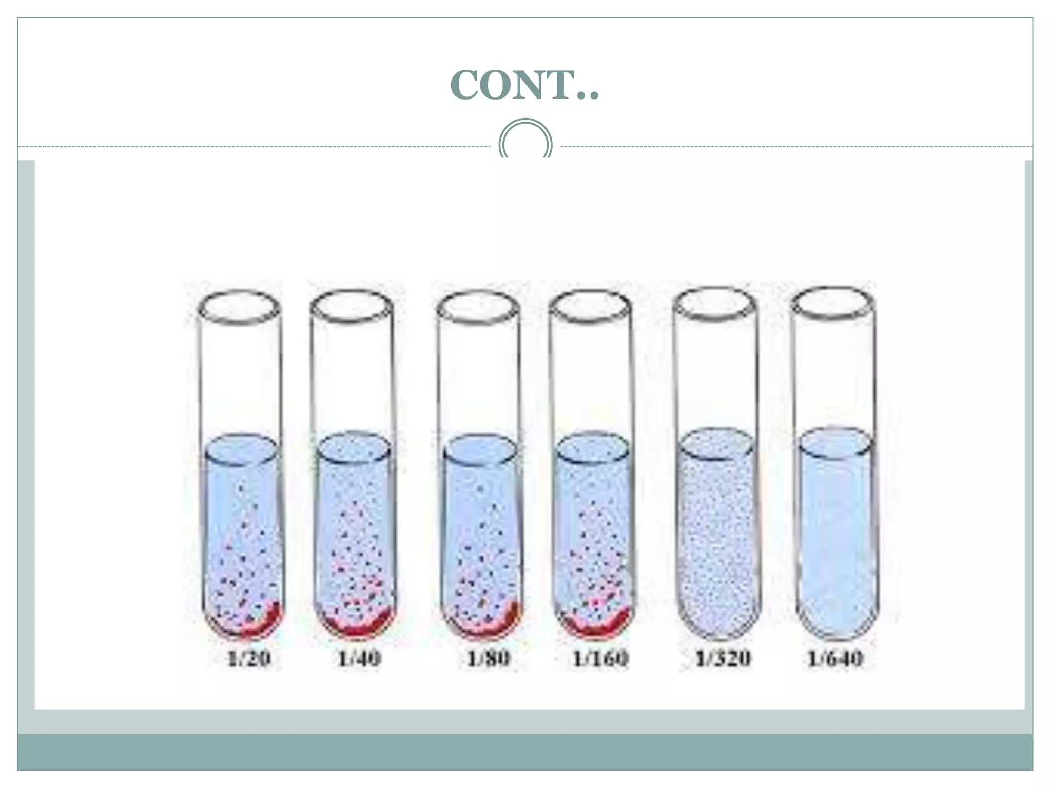 widal test. | PPTX