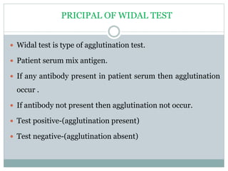 widal test. | PPTX