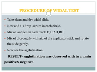 widal test. | PPTX