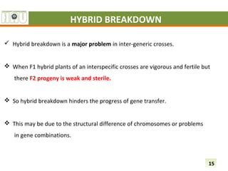 Wide cross and Bridge species | PPT