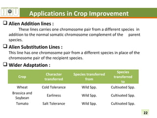 Wide cross and Bridge species | PPT
