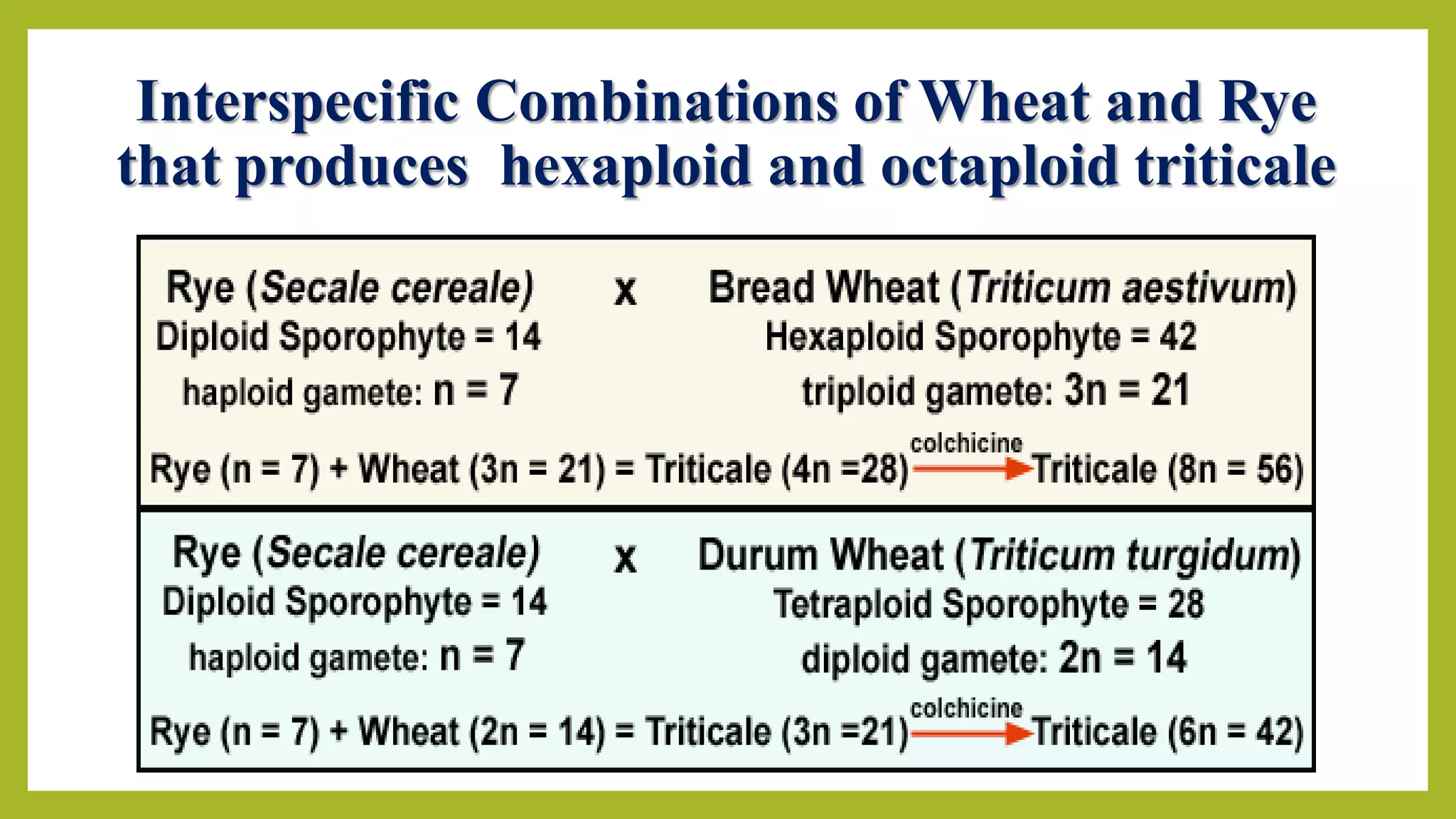 Wide hybridization | PPTX