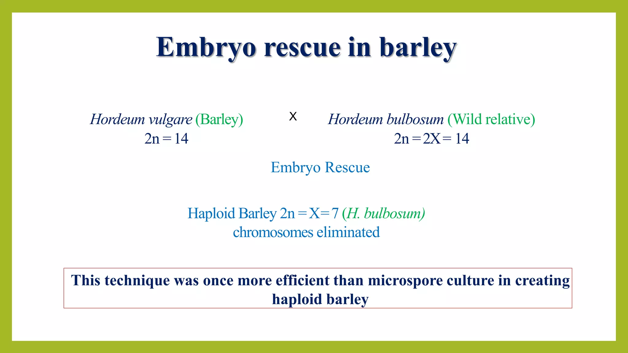 Wide hybridization | PPTX