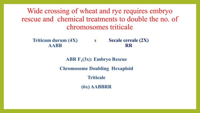 Wide hybridization | PPTX