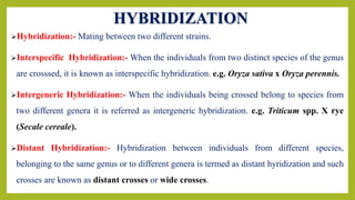 Wide hybridization | PPTX