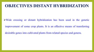 Wide hybridization | PPTX
