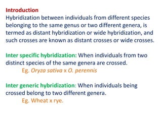 Wide hybridization | PDF