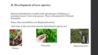 wide hybridization or dstant hybridization | PPTX