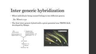 wide hybridization or dstant hybridization | PPTX