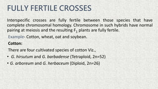 Wide Hybridization (1) (2).pptx