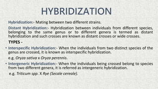 Wide Hybridization (1) (2).pptx
