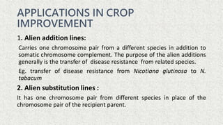 Wide Hybridization (1) (2).pptx