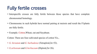 Wide hybridization in cotton | PPTX