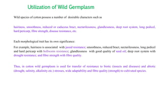 Wide hybridization in cotton | PPTX