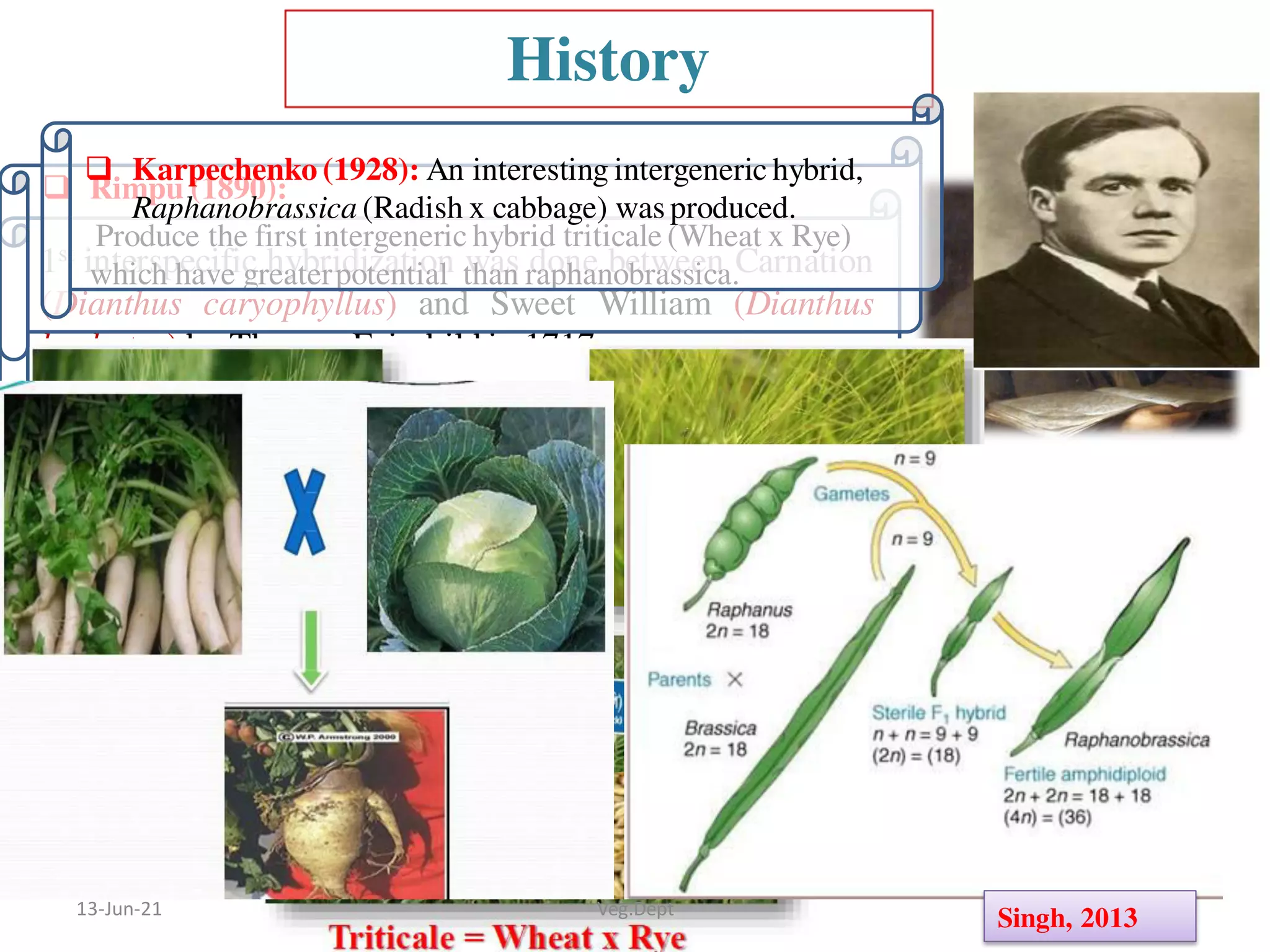 Wide hybridization in vegetable crops | PDF