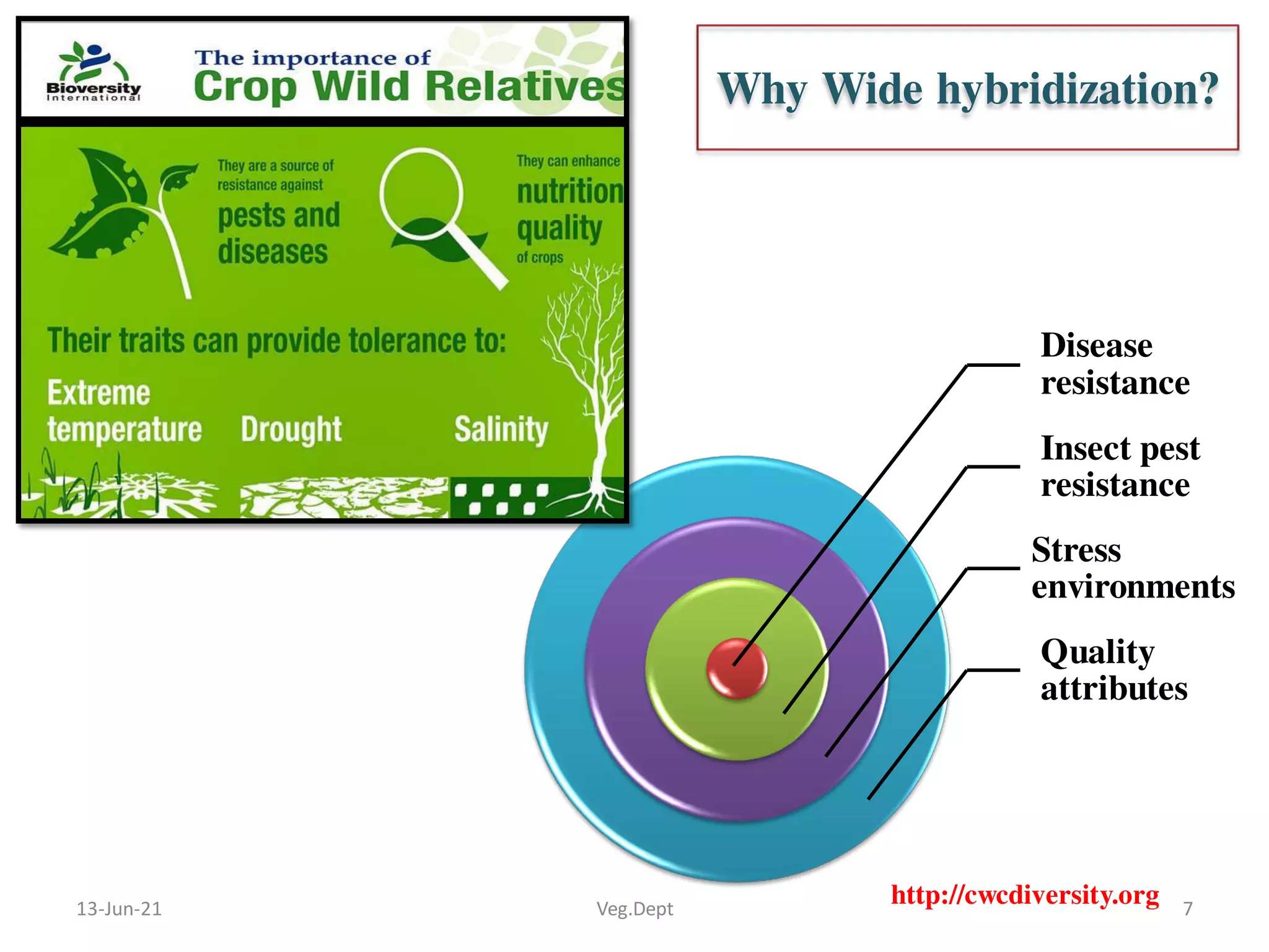 Wide hybridization in vegetable crops | PDF