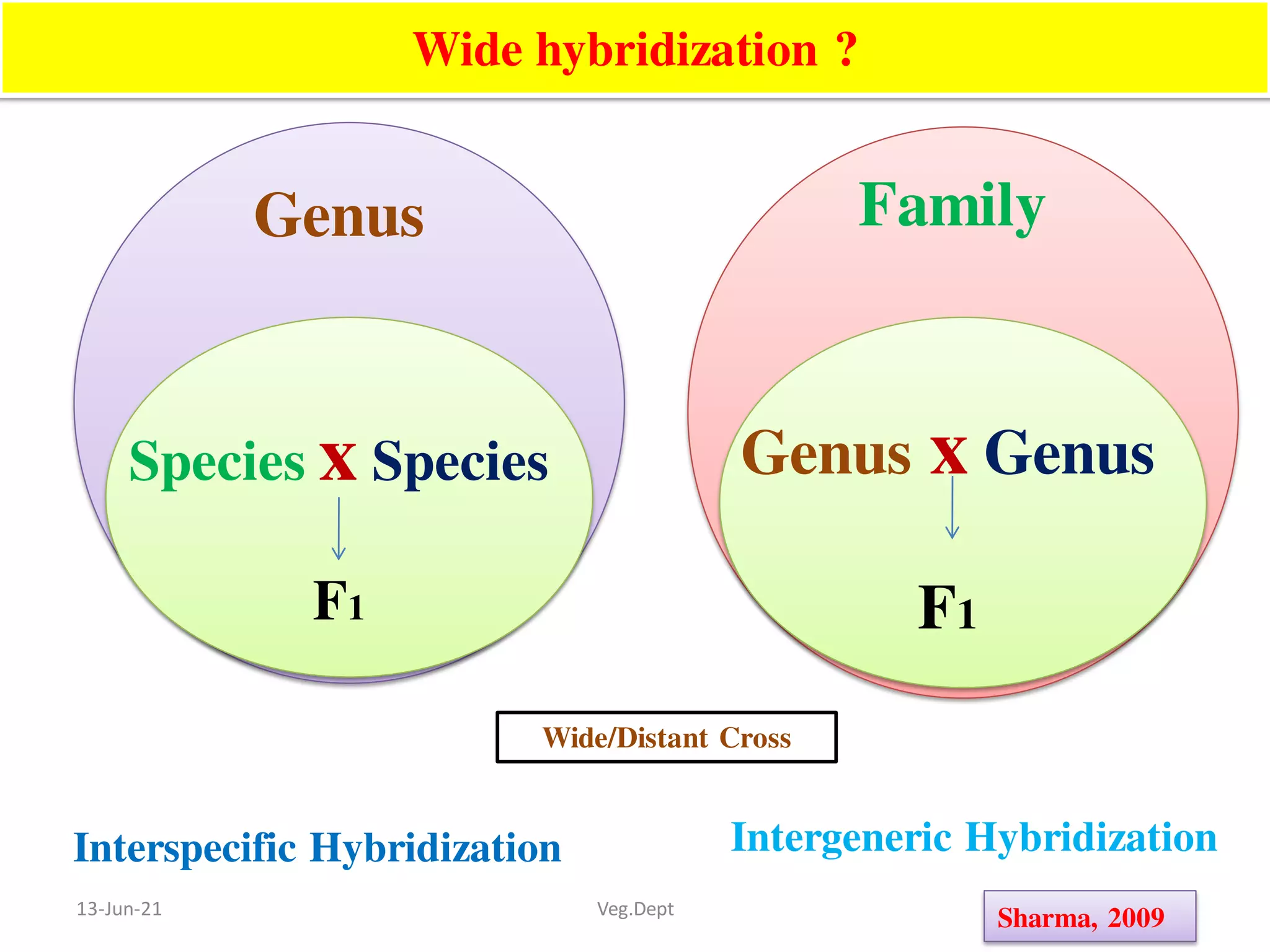 Wide hybridization in vegetable crops | PDF