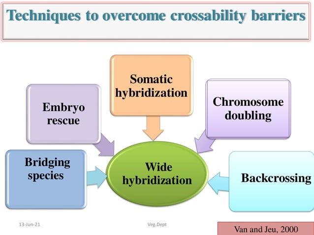 Wide hybridization in vegetable crops | PDF | Gardening | Home & Garden