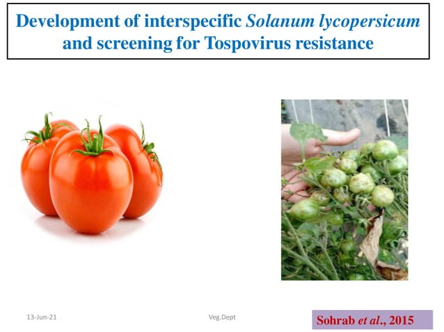 Wide hybridization in vegetable crops | PDF | Gardening | Home & Garden