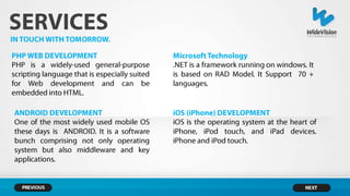 Wide Vision Presentation | PPT