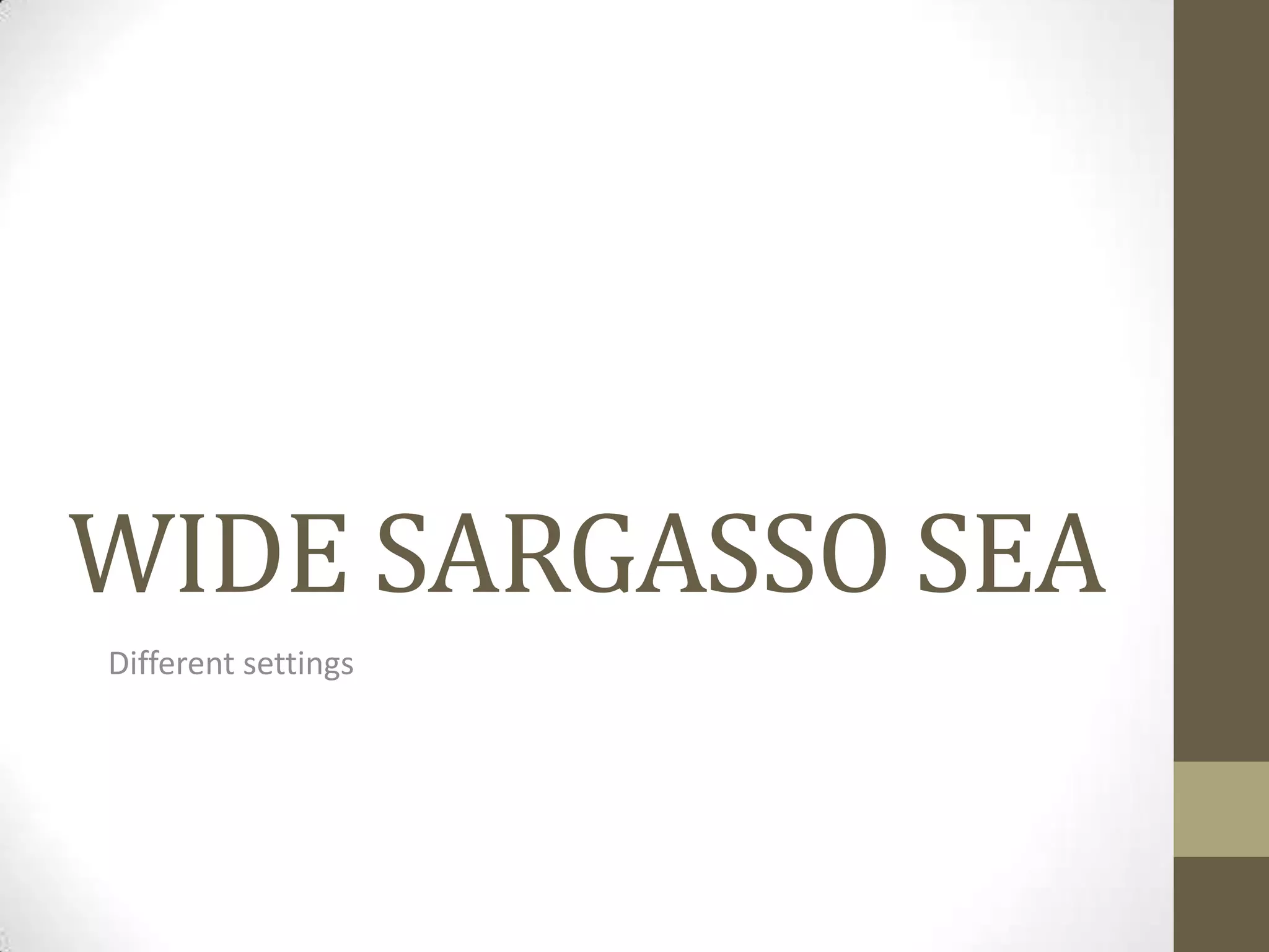 Wide Sargasso Sea - Settings | PPTX