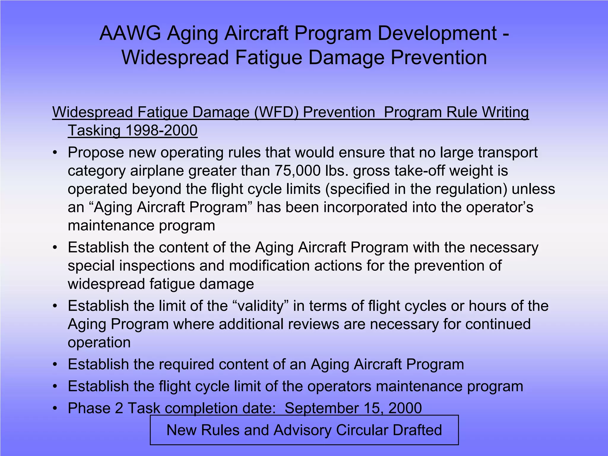 Widespread Fatigue Damage | PDF