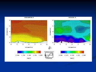 Tutorial COHERENS Coupled Hidrodynamic & Ecologycal Model & Its ...