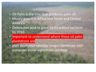 Wids datathon slides_vanim (updated) | PDF