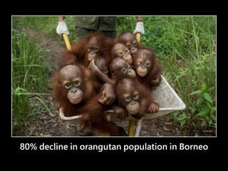 Wids datathon slides_vanim (updated) | PDF