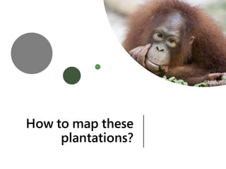 Wids datathon slides_vanim (updated) | PDF