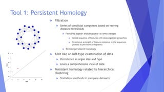 Women in Data Science 2018 Slides--Small Samples, Subgroups, and ...