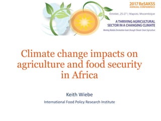 The Effects of Climate Change on Agriculture and Food in Africa | PPTX