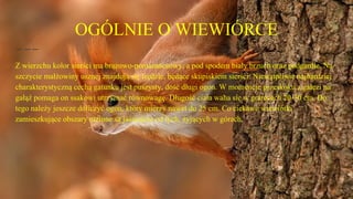 Wiewiórka pospolita (sciurus vulgaris) | PDF