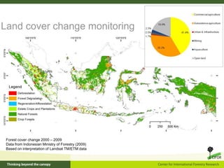 Indonesia’s deforestation: Setting reference emission levels and ...