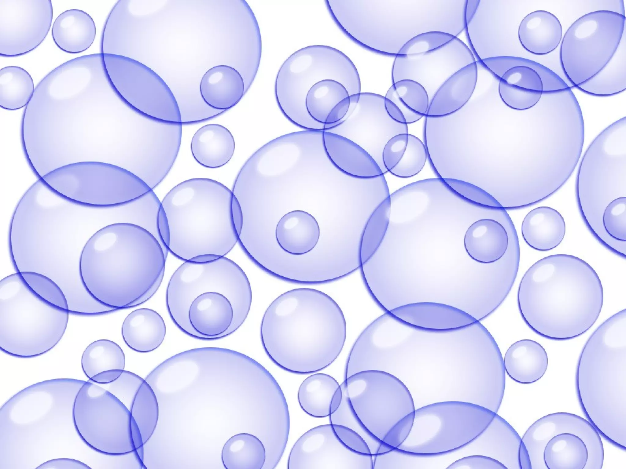 Wiki Power Point | PPT