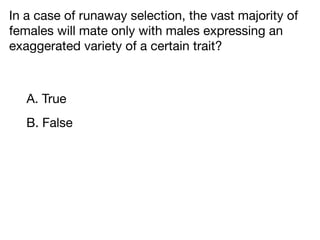 Multiple Choice | KEY