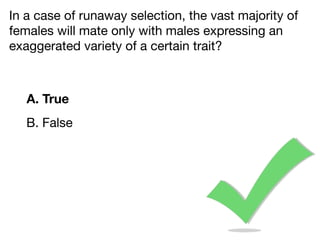 Multiple Choice | KEY