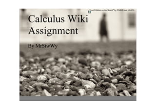Wiki Assignment - Question 5 | PPT
