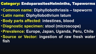 list of Human parasites from the wikipedia | PPTX