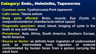 list of Human parasites from the wikipedia | PPTX