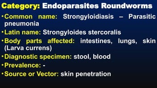 list of Human parasites from the wikipedia | PPTX