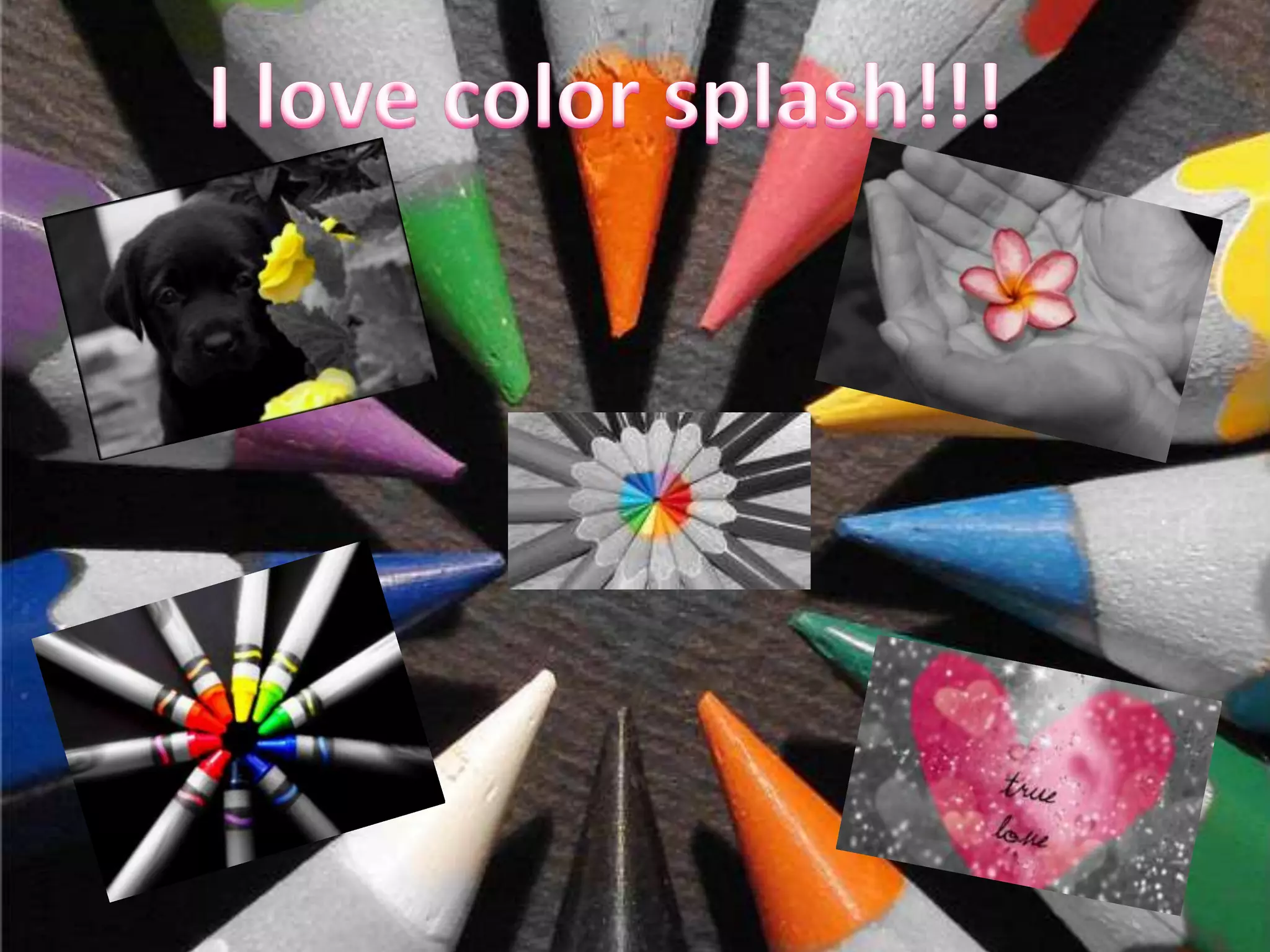 Wiki power point | PPT