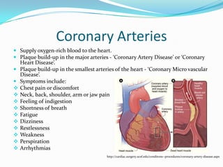 Wiki powerpoint | PPT