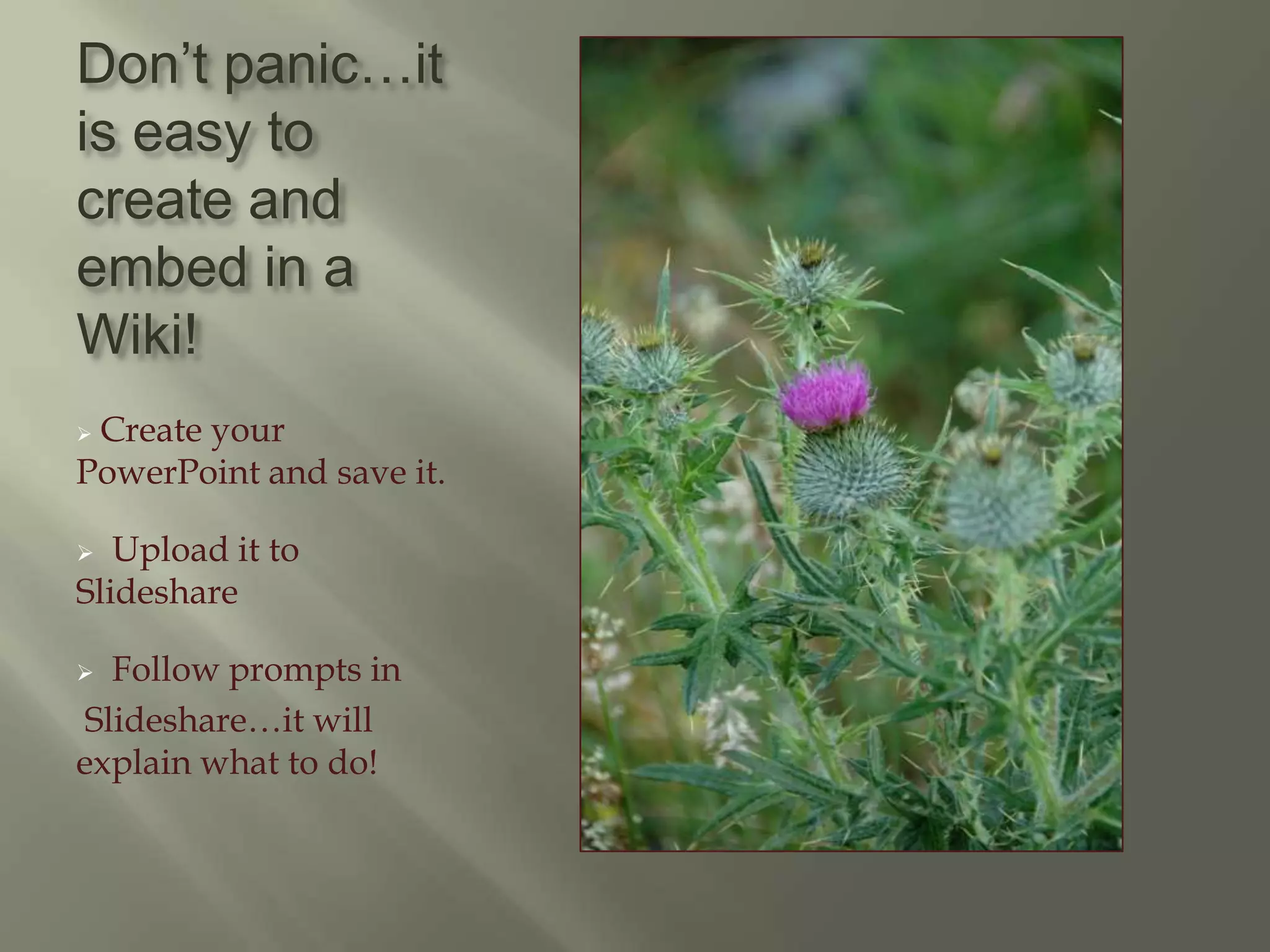 Wiki Powerpoint Option | PPT